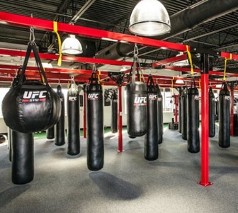UFC Gyms VA